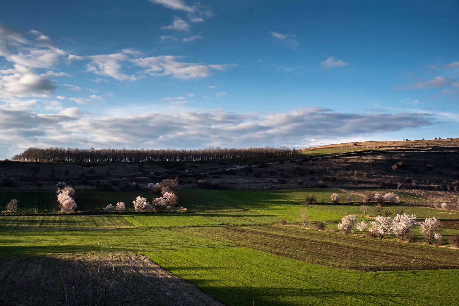 Νέα υπηρεσία Πιστοποίησης: Q-REGEN | Q-Cert